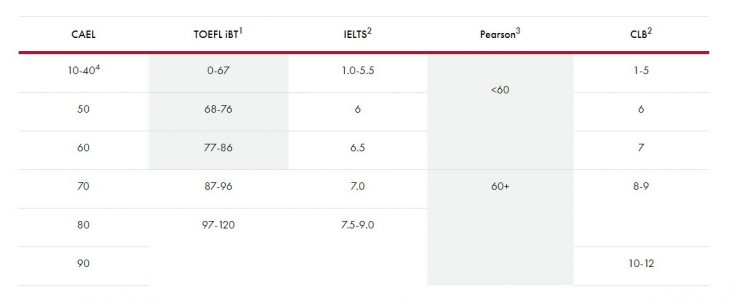 Test Results & Scoring - CAEL