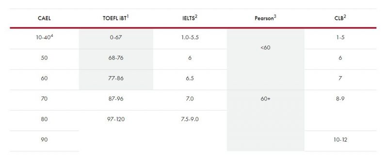Test Results & Scoring - CAEL
